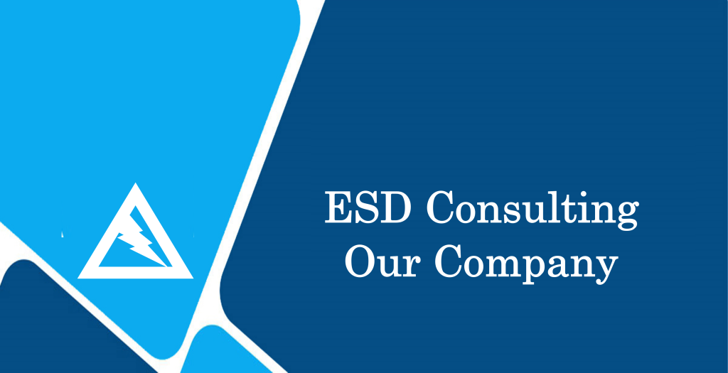 Our Company – ESD Consulting