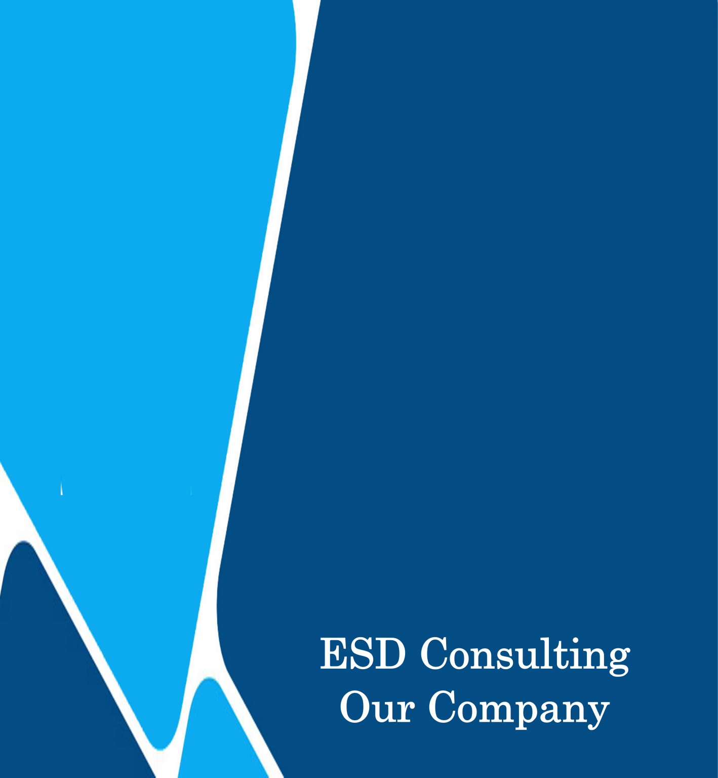 Our Company – ESD Consulting